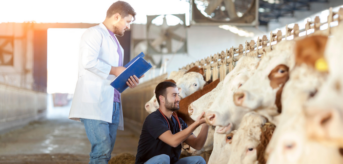 Aviva and H&H Insurance Brokers adopt new Crawford & Co automated ...